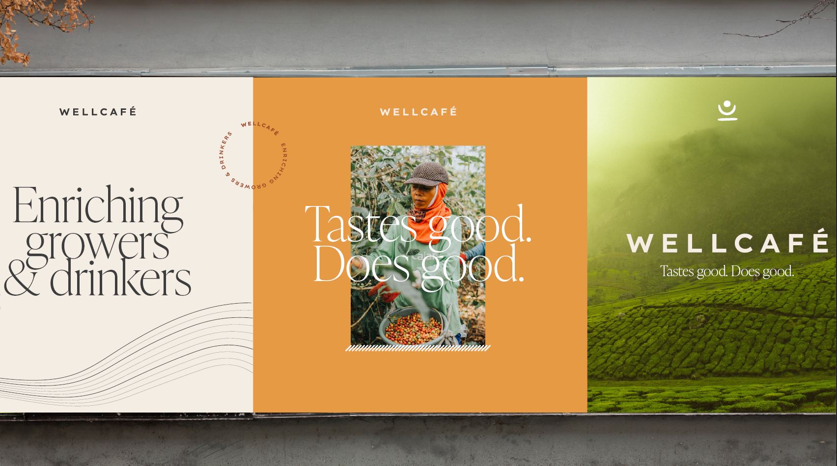 Wellcafe – Enriching Growers & Drinkers